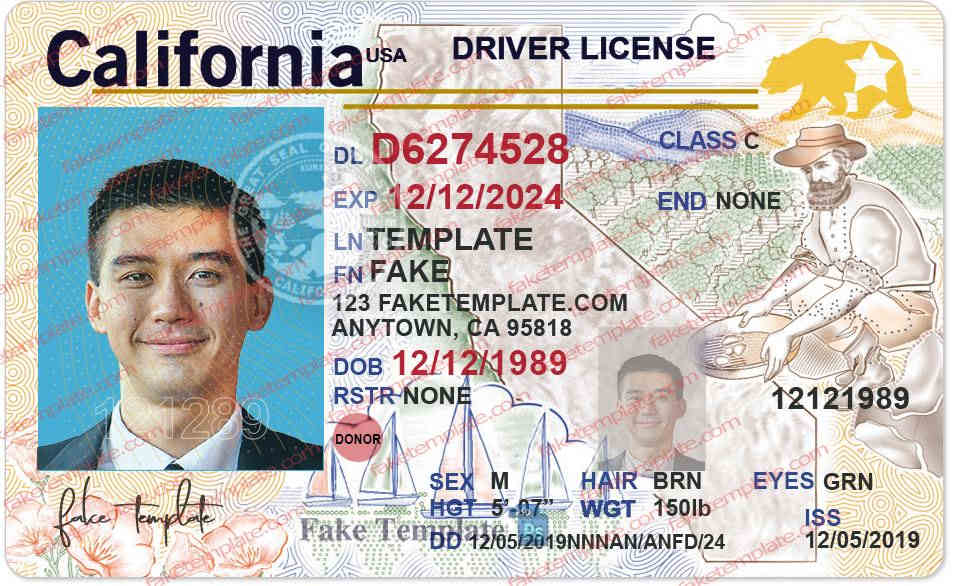 California Driver License Template V1 New - Fake Template