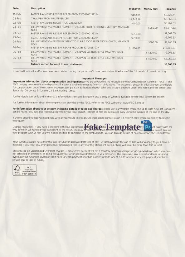 First Century Bank Statement psd Template : Payoneer Bank Statement