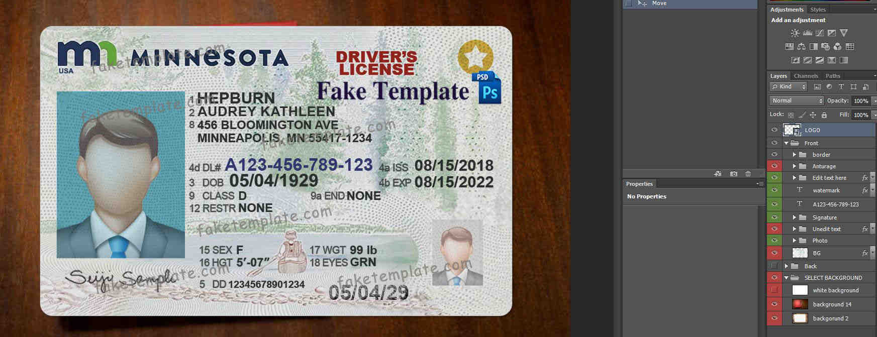 Minnesota Drivers License Template New - Fake Template