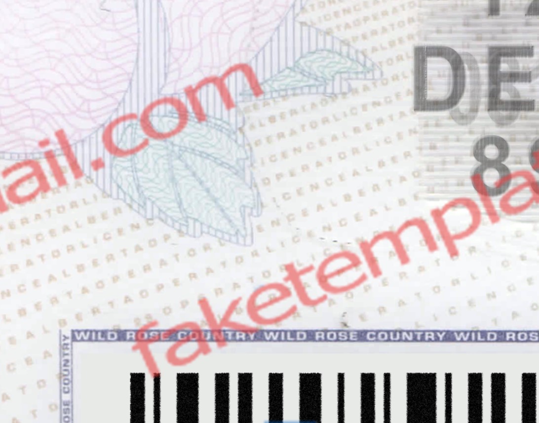 Blank Alberta Drivers License Template V2 - Fake Template
